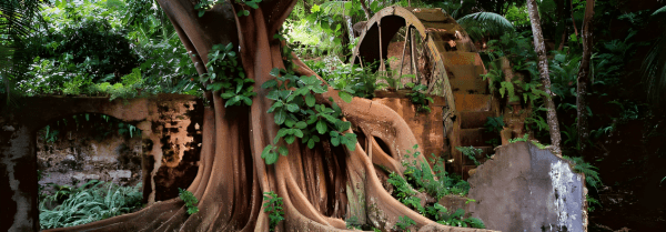 St Lucia Heritage Tours - Balenbouche Estate